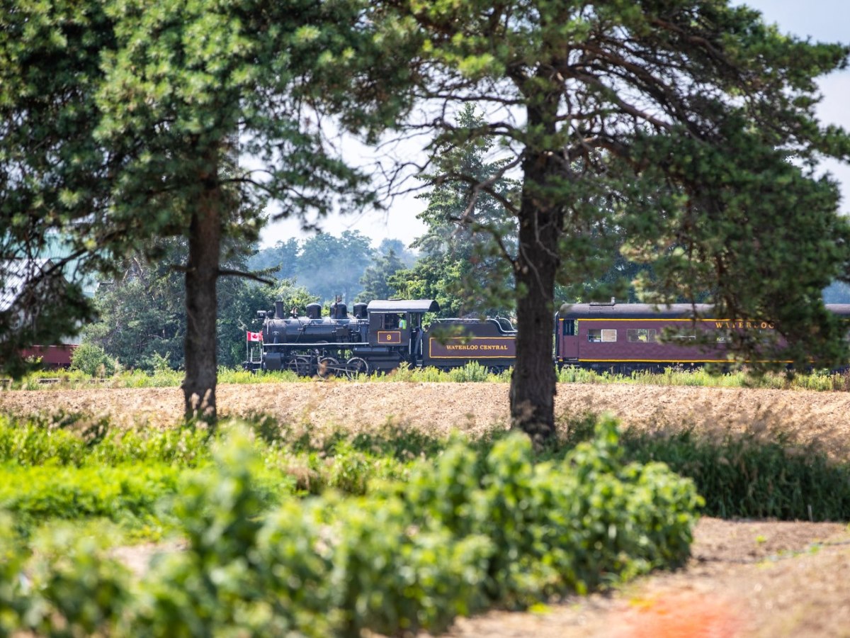 About Us | Waterloo Central Railway