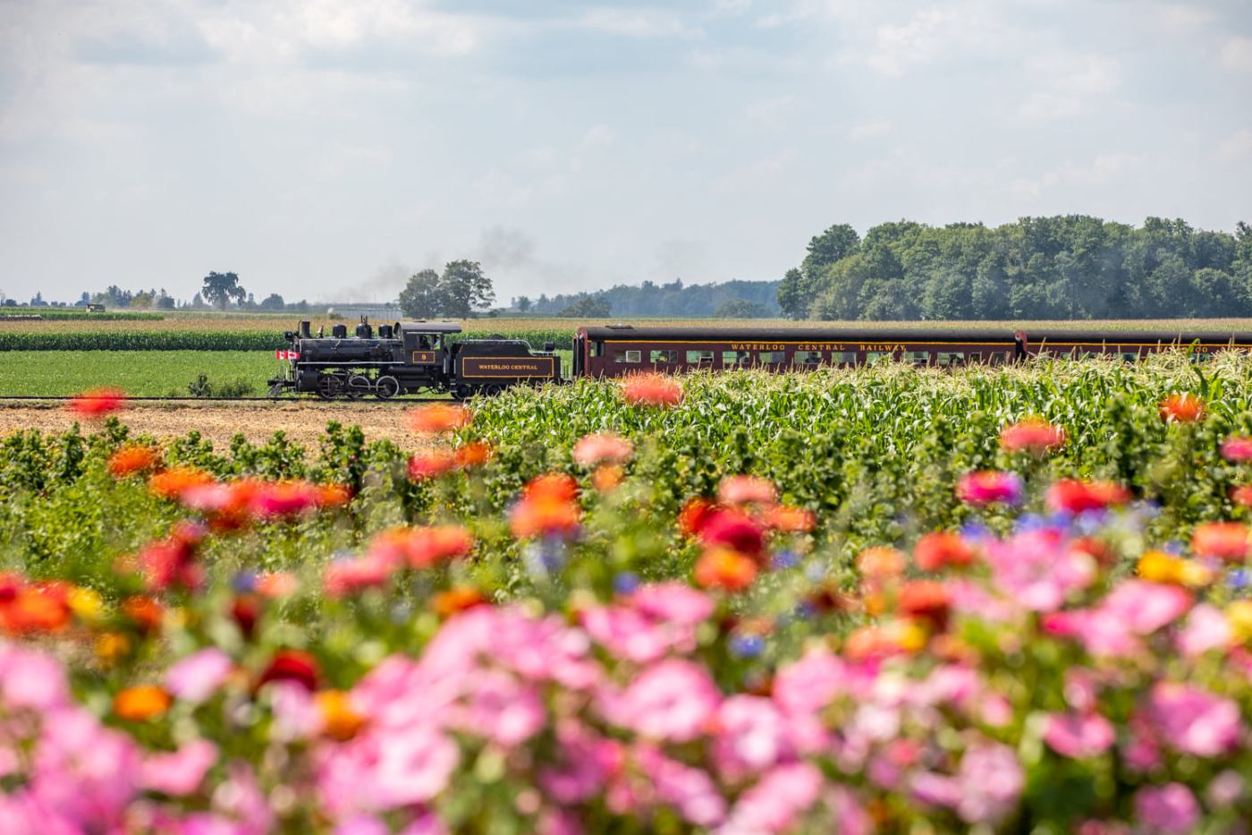 About Us | Waterloo Central Railway